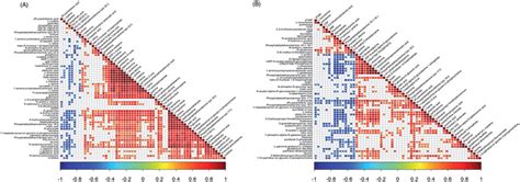 Metabolite Correlation Analysis Positive Correlations Were Shown In Download High