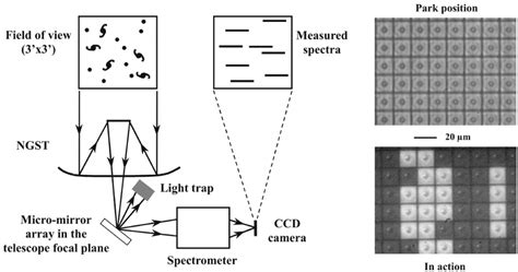 principle of a multi object spectrograph with a micro mirror array for