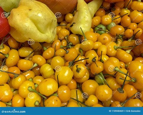 Peruvian Yellow Pepper Stock Image Image Of Vegetable 118948469