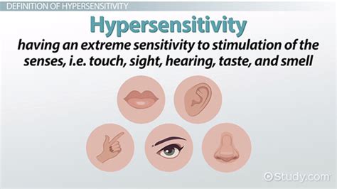 Hypersensitivity Definition Disorder And Symptoms Lesson