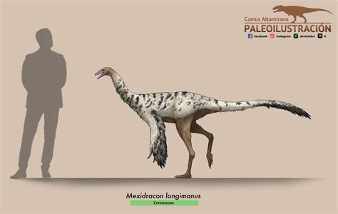 Mexidracon Longimanus By Camusaltamirano On Deviantart