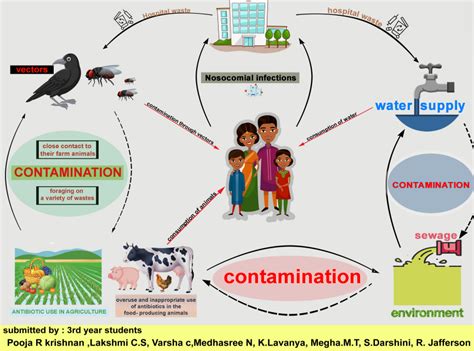 One Health Approach The Need Of The Hour Pashudhan Praharee
