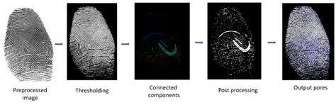 End To End Pore Extraction And Matching In Latent Fingerprints Going Beyond Minutiae Deepai