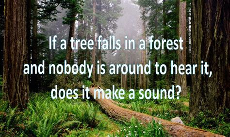 If A Tree Falls In A Forest And Nobody Is Around To Hear It D Samim