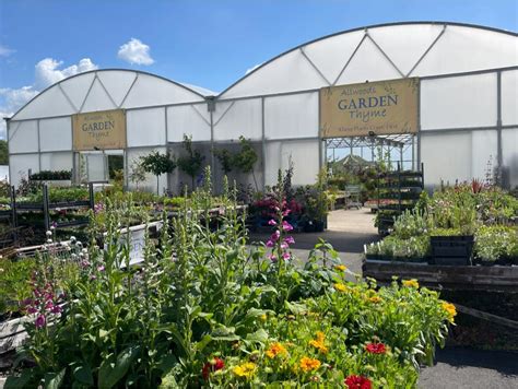 Garden Thyme Hassocks Hassocks