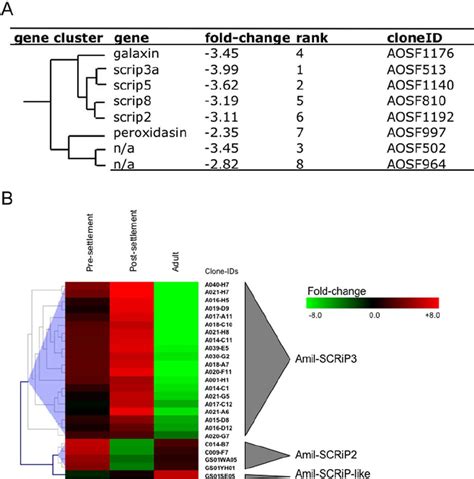 Gene Expression Microarray Data Of Scrips In Thermally Stressed Download Scientific Diagram