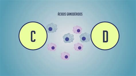Alergias Rinitis Y Ganoderma Lucidum ¿cómo Actúa El Ganoderma Youtube