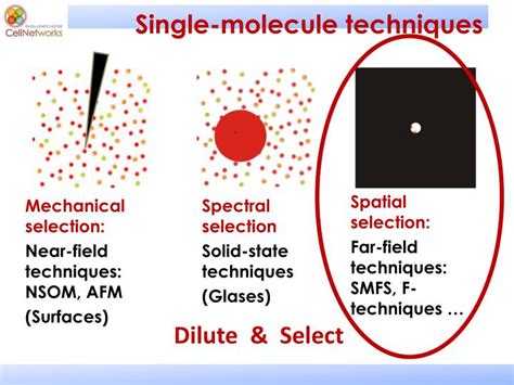 Ppt Single Molecules And Photo Physics Powerpoint Presentation Id 4590116