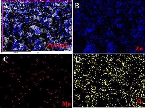 Elemental Mapping Analysis Of Znmno3 A With Their Individual