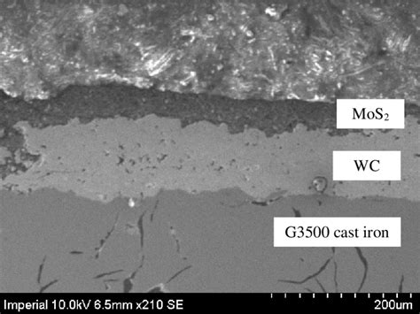 Sem Image Of Specimen Cross Section Download Scientific Diagram