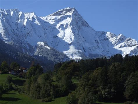 Gemeinde Masein | Bilder