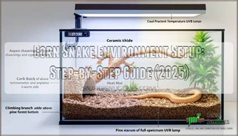 Identifying Corn Snake Morphs Easily Visual Guide Photos 2025