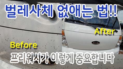 벌레사체제거 봉고3셀프세차 Youtube