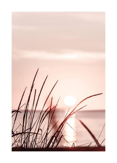 Sunset Grass Poster Grass And Sunset Desenio Ie