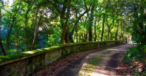 Bosco Di San Silvestro Unoasi Di Natura E Storia Tra I Reali Di Caserta
