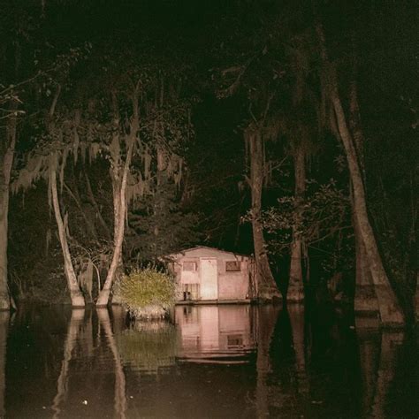 Bayou Aesthetic Dark Spooky Bayou Bayou Gothic