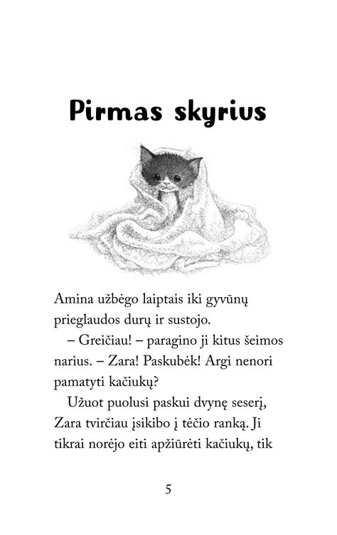 Mažiausia Katytė By Knygoslt Issuu