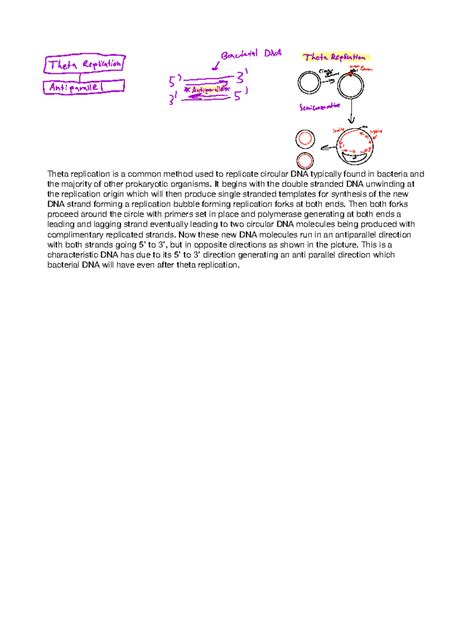 Chapter 12 Concept Map Theta Replication Is A Common Method Used To