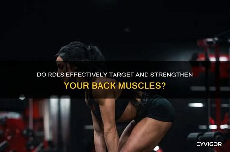 Do Rdls Effectively Target And Strengthen Your Back Muscles Cyvigor