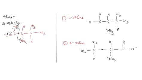 Valine Structure