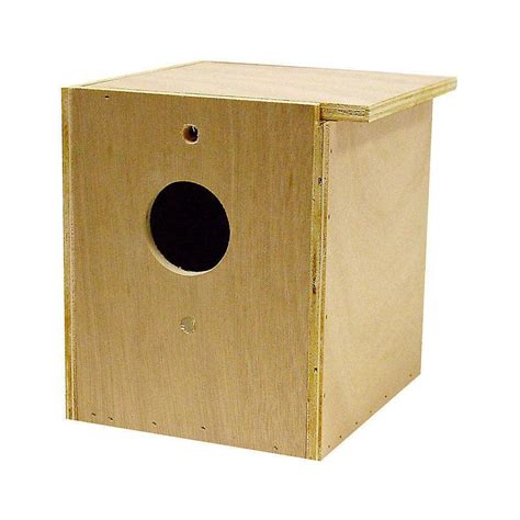 Parakeet Nesting Box All Things Birds