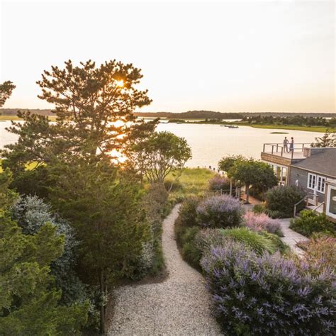 Cornichons An Easy Recipe For Tiny Pickled Cucumbers
