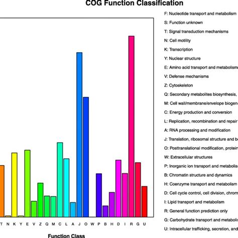 Cog Functional Classification And Distribution Download Scientific Diagram