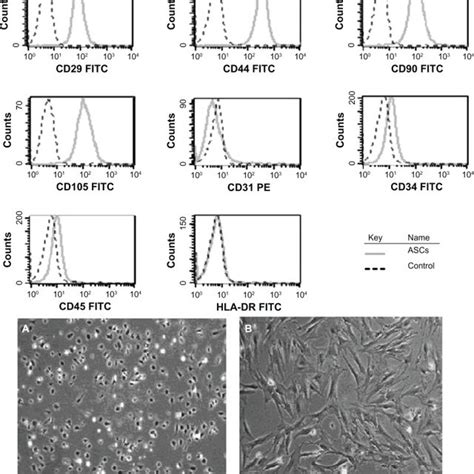 Flow Cytometry Assessment Of Cell Surface Marker Expression And Download Scientific Diagram