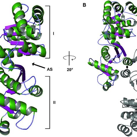 Structure Based Alignment Of Tp0094 And Mtpta The Sequences Of Tp0094