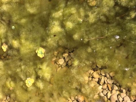 Vase Texture Texture Painting Art