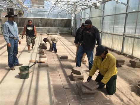 How Many Inches Of Leveling Sand Under Pavers At Lynda Rahman Blog