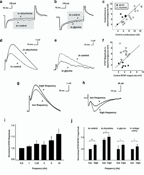Figure 1 From Frequency Dependent Glycinergic Inhibition Modulates