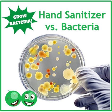 Bacteria Vs Sanitizer Science Project Kit Easy Peasy Science