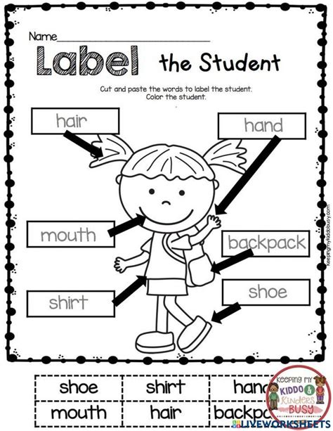 Label The Student Worksheet Worksheets Library