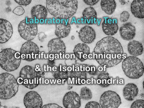 Density Gradient Centrifugation