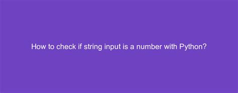 How To Check If String Input Is A Number With Python