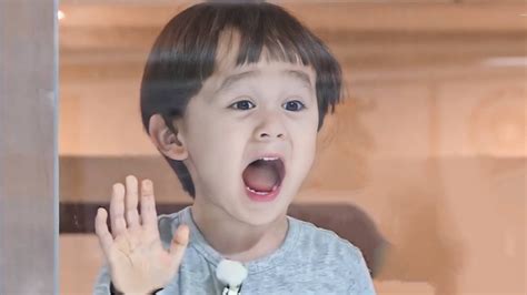 威廉 本特利 高清图片，堆糖，美图壁纸兴趣社区