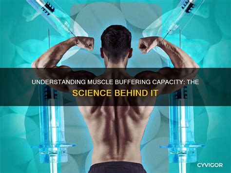 Understanding Muscle Buffering Capacity The Science Behind It Cyvigor