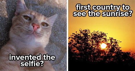 Its Time To Play True Or False — Aussie Facts Edition