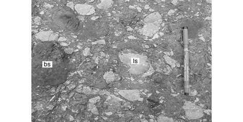 Outcrop View Of Upper Triassic Coral Bearing Limestone Breccia In Kuma