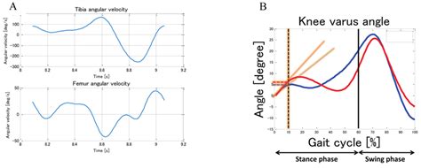 Waveforms Of The Angular Velocities Of The Tibia And Femur And The Download Scientific Diagram