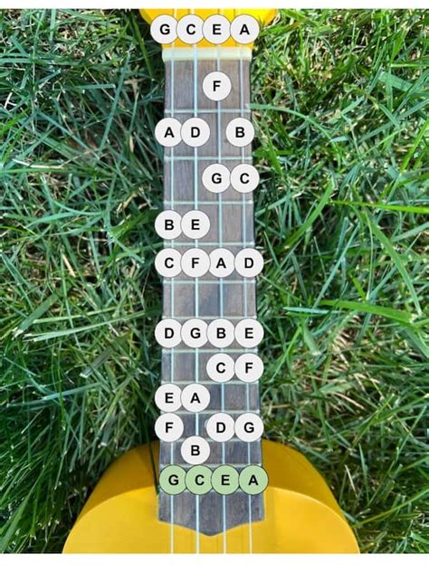 Understanding Ukulele Fretboards A Beginners Guide