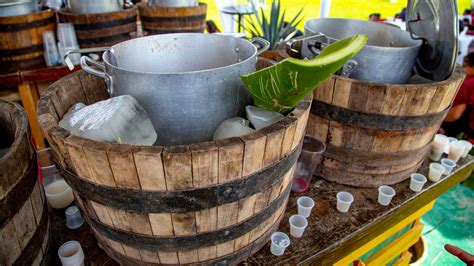 Gran Festival De Pulque En Cdmx Todo Sobre El Evento Con Conciertos Campamento Y Globos