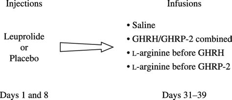 Schema Of Study Protocol Designed To Examine The Impact Of