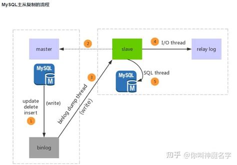 Docker进阶安装（mysql和redis）（6） 知乎