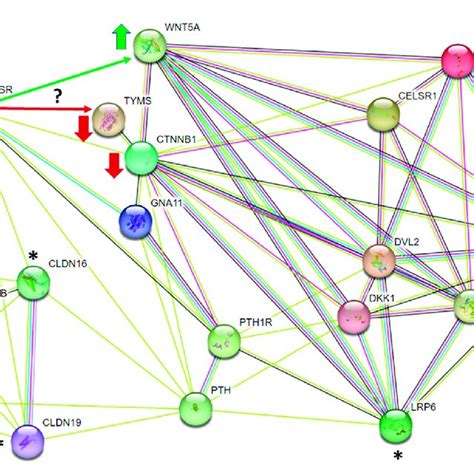String Diagram Illustrating Potential Connections Between Download Scientific Diagram
