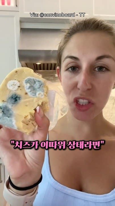 곰팡이 핀 치즈 먹어도 될까 Youtube