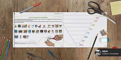 Sorting Organisms Activity