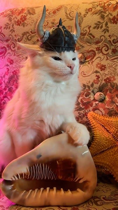 После того как захватил и сжег пару тапков Vikings викинг хор Yoho