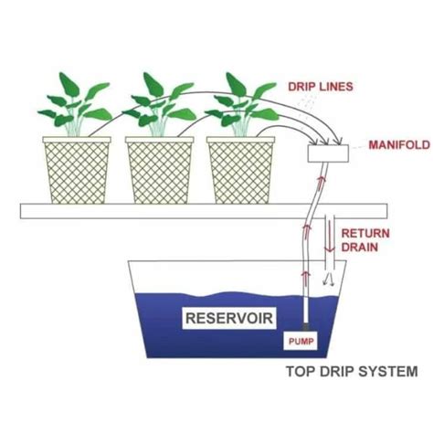 Diagram Of A Drip System Hydroponic Setup Hydroponics System